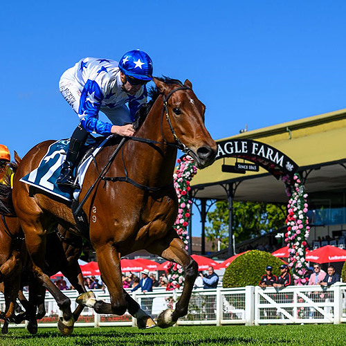 Stream episode The Punters Preamble - 2025 Magic Millions by Racing & Sports Podcasts podcast ...