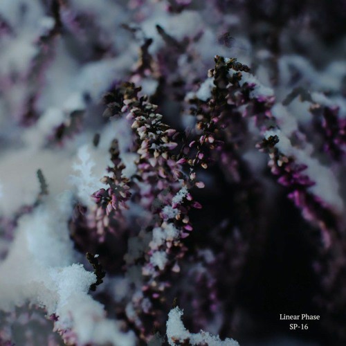 Stream Linear Phase Sp 18 Original Mix By Linear Phase Listen