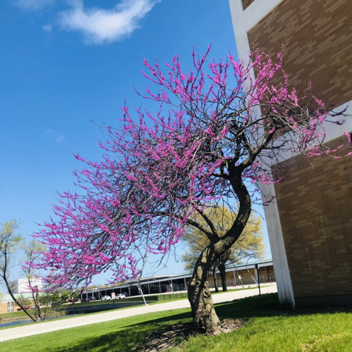 Stream Goodbye by Jack Woodruff | Listen online for free on SoundCloud