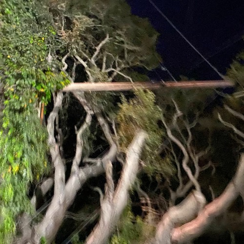 Stream needaM + prod deadboyadan by davi | Listen online for free on ... Stream needaM + prod deadboyadan by davi | Listen online for free on ...