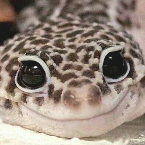 Stream ArtistOfTheGeneration | Listen to Rap Battles playlist online ...