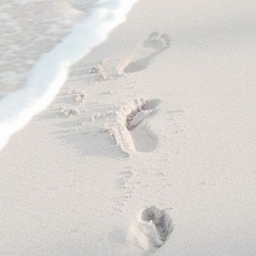 Stream Ambreen Salaam | Listen to Ibn Azam ️ playlist online for free ...