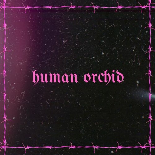 Stream episode Human Orchid Ep. 2 : Hell Boy (Ellis Taylor Interview ...