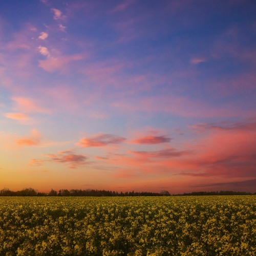 Stream May Mind by Indiana Jane | Listen online for free on SoundCloud