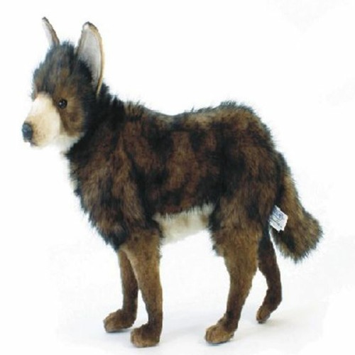 Stream MRS. MISUNDERSTOOD. by FOE COYOTE. | Listen online for free on SoundCloud