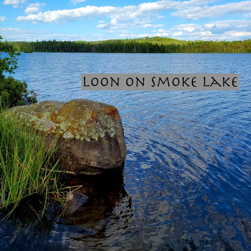 Stream Loon Wail on Smoke Lake (BWCA 2023) by back channel project ...