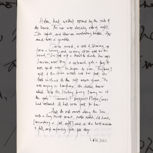 Stream episode An Infinitely Full Stop: Mark O’Connell and Chris Morash ...