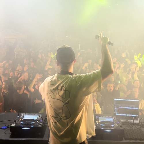 Stream TOMAS JAZ FRIDAY MIX #50 by Tomas Jaz | Listen online for free ...