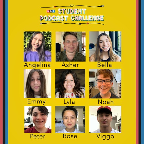 Stream episode Debate on Political Advertisements on Social Media by ...