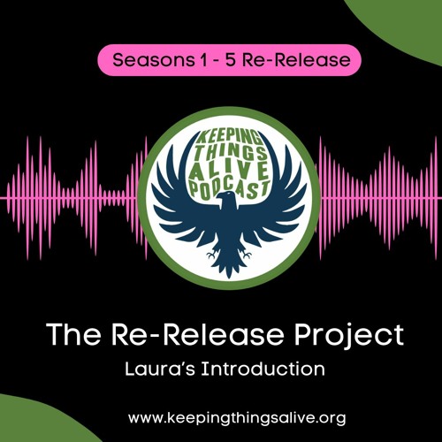 Stream The Re-Release Project: Introduction by Keeping Things Alive ...