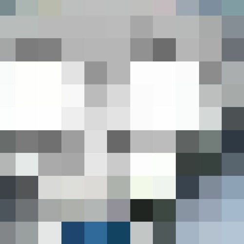 Minecraft Silverfish Face