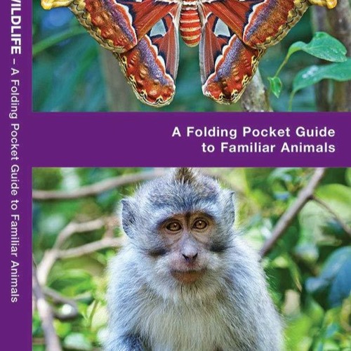 Stream Read [ebook] (pdf) Southeast Asia Wildlife: A Folding Pocket ...