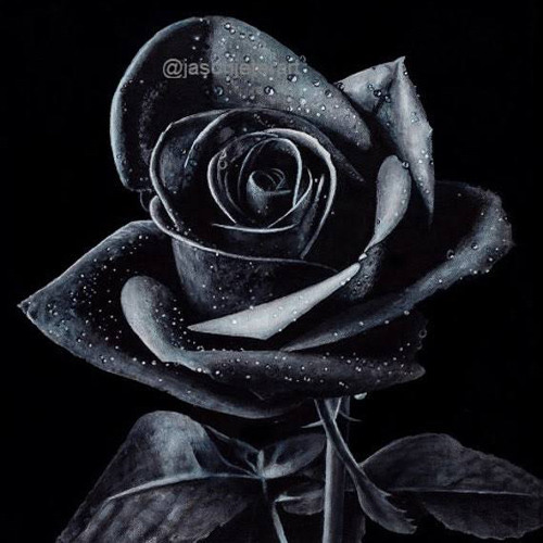 Stream KingNate - Black Roses (Sample) by KingNate | Listen online for ...