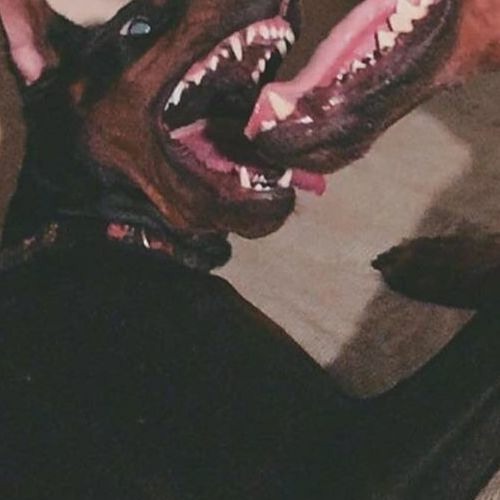 Stream Travis Scott - ESCAPE PLAN (DVRGLOCK EDIT) by DVRGLOCK | Listen ...