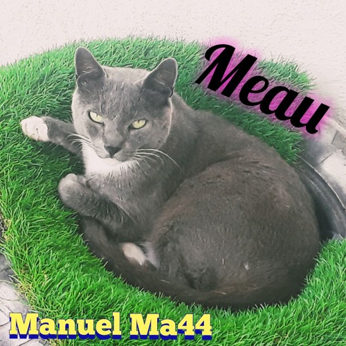 Stream Manuel Ma44 | Listen to Meau- Album Completo playlist online for ...