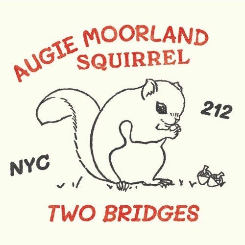 Squirrel Census | Linktree