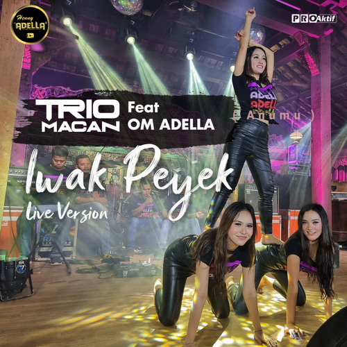 Stream Iwak Peyek (Live Version) by Trio Macan | Listen online for free ...