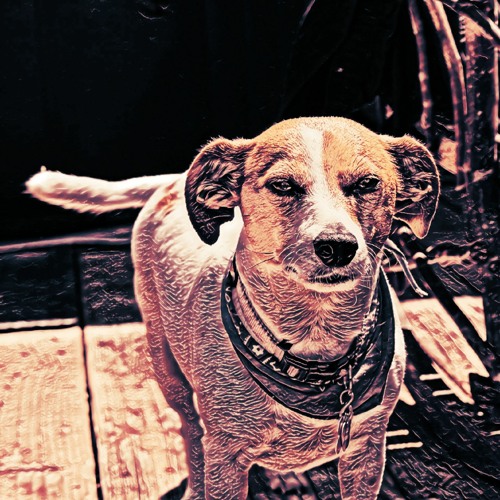 Stream Never Ending Math Equation (Modest Mouse cover) by certain trips ...