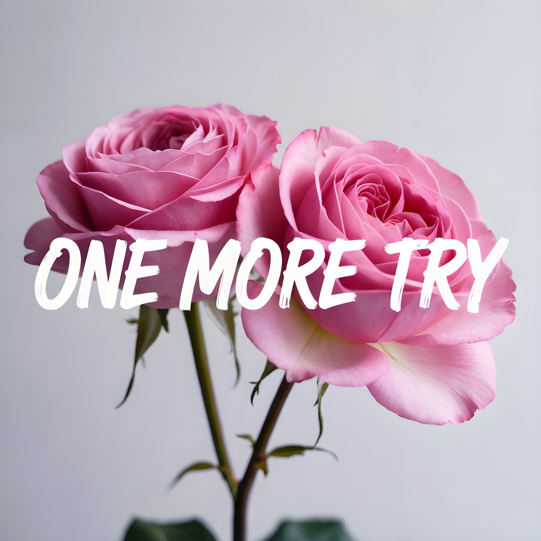 Stream One More Try by LifeTune Dynamics | Listen online for free on ...