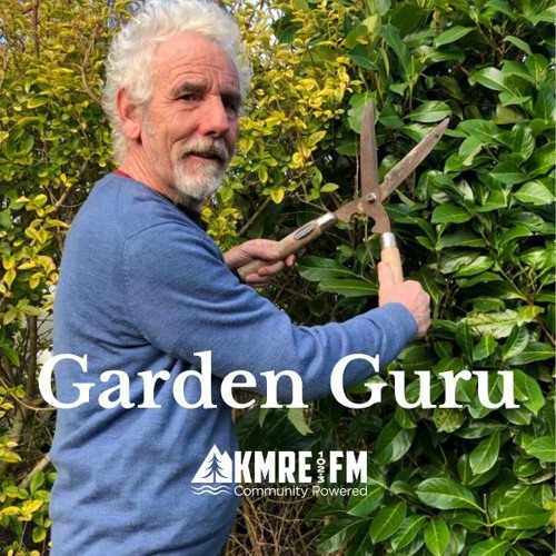 Stream KMRE | Listen to KMRE: Garden Guru with Derek Duffy playlist online for free on SoundCloud