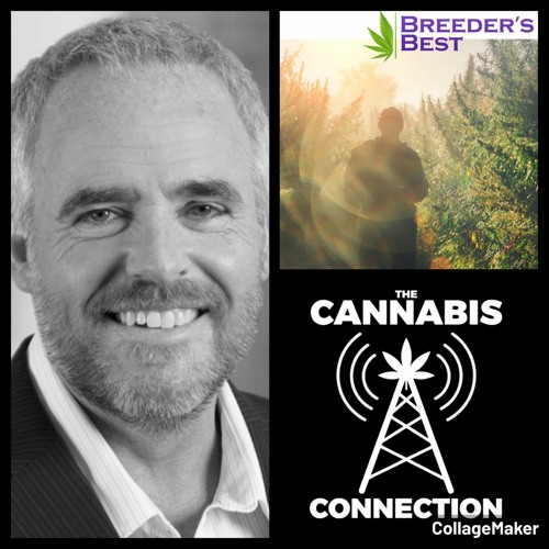 Stream episode Dr. Dale Hunt - Breeders Best 03/18/2022 by the.cannabis ...