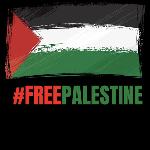 Stream bisher sabouni 🇵🇸 | Listen to Free Palestine songs 🇵🇸 playlist ...