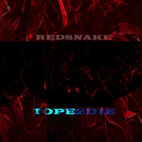 Stream REDSNAKE by TOPE2DIE | Listen online for free on SoundCloud