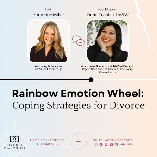 Stream Rainbow Emotion Wheel: Coping Strategies for Divorce - with Demi ...