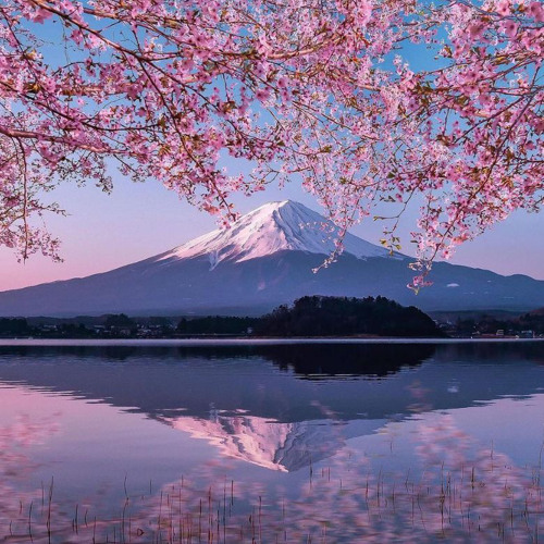 Stream Husk X Stephen A - YungCarts by yung carts | Listen online for ...