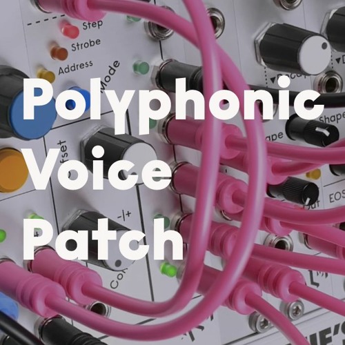 Stream Polyphonic Voice Patch by ALM Busy Circuits | Listen online for ...
