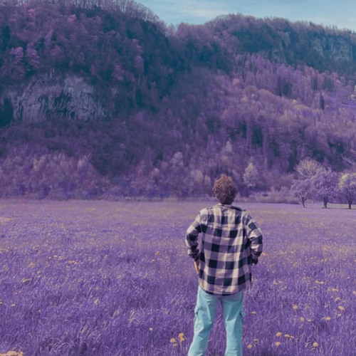 Stream Marlin Ben | Listen to demos marlin ben playlist online for free ...