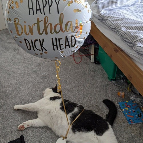 Stream BITTERSWEET - FNF Arrow Funk Epic Birthday Remaster by Keeby🌠 ...