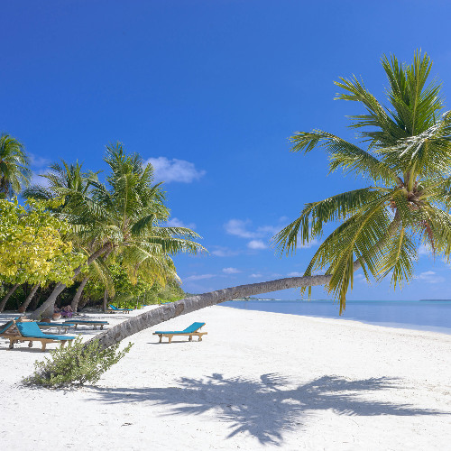 Stream DJ Troy mixset 1 by DJ Troy | Listen online for free on SoundCloud