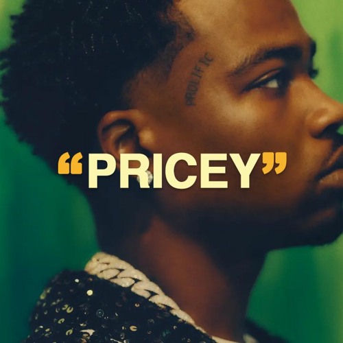 Stream (FREE) Roddy Ricch type beat 2024 x Gunna x Veigh - "Pricey ...