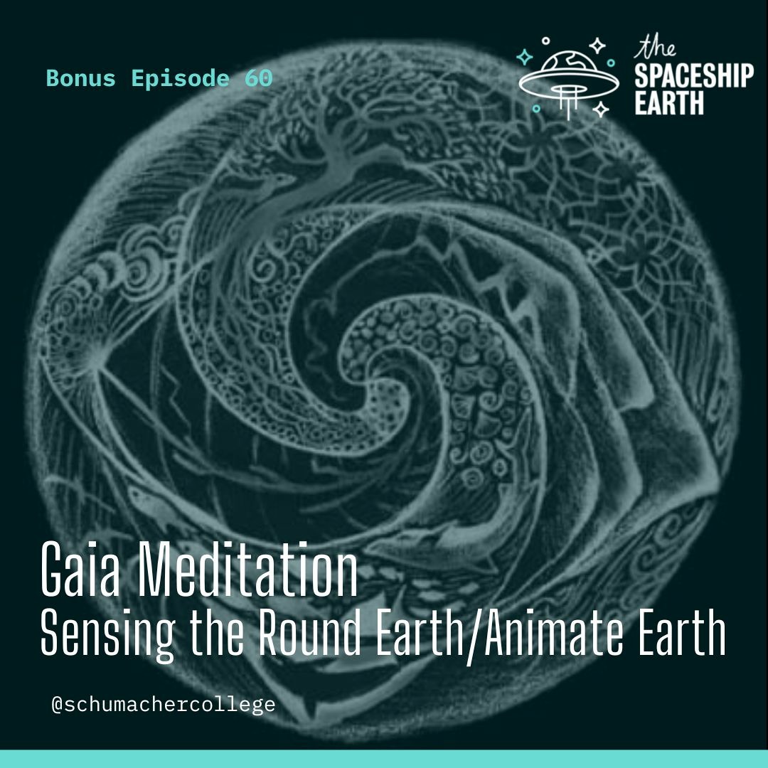 Stream episode Episode 60 Bonus Edition - A Gaia Meditation from ...
