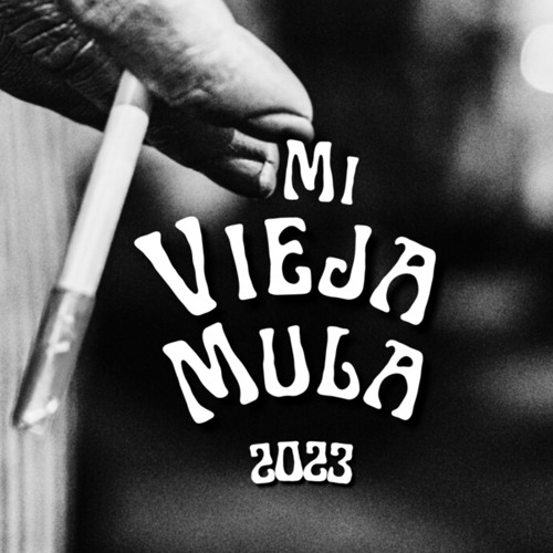 Stream Hoy Es Un Día Especial by Murga Mi Vieja Mula | Listen online ...