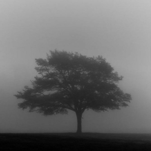 Stream I'm Still Here (a version by CouEn) by CouEn | Listen online for ...