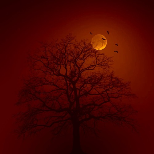 Stream illicit link | Listen to the end of us playlist online for free ...