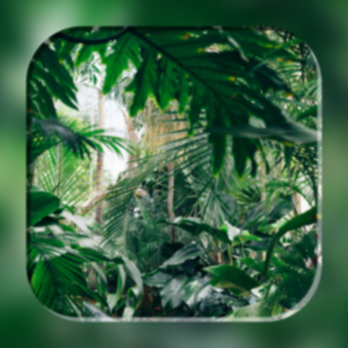 Stream monkey space by Cat Dictionary | Listen online for free on ...