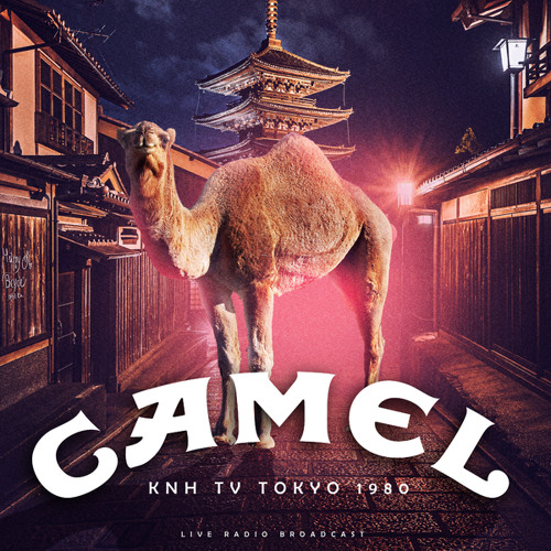 Stream Nobody Knows (live) by Camel | Listen online for free on SoundCloud