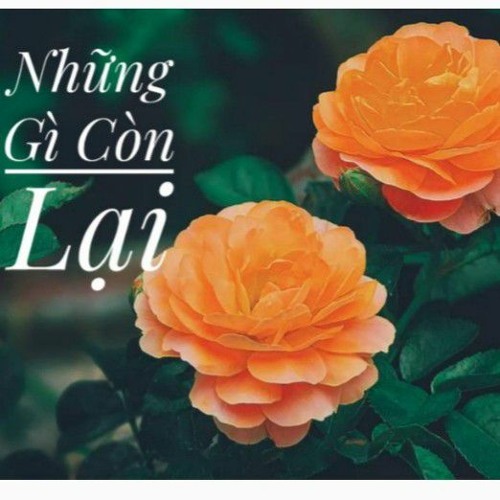 Stream Những Gì Còn Lại! Big Rice Piano x GIÓ (Official Audio) by GIÓ ...