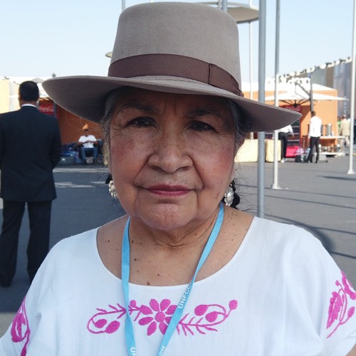 Stream COP27 - Tarcila Riviera Zea On Indigenous Women Fighting Climate ...