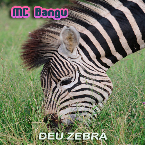 Stream Brutal Brutalidade Bruta by Mc Bangu | Listen online for free on ...