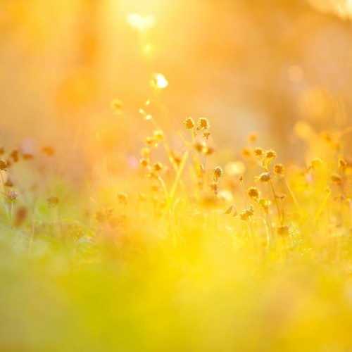 Stream episode Sending Appreciation - Quick Practice by Jeddah Mali by ...