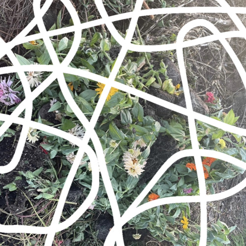 Stream tropes - dont interact prod cranes & orihime by cranes | Listen ...