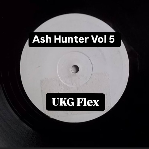 Stream Ash Hunter In The Mix Vol 5 (UK Garage Flex) by ASH HUNTER ...