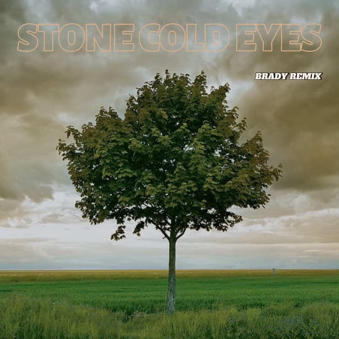 Stream Stone Cold Eyes (Brady Remix) by BRADY (US) | Listen online for ...