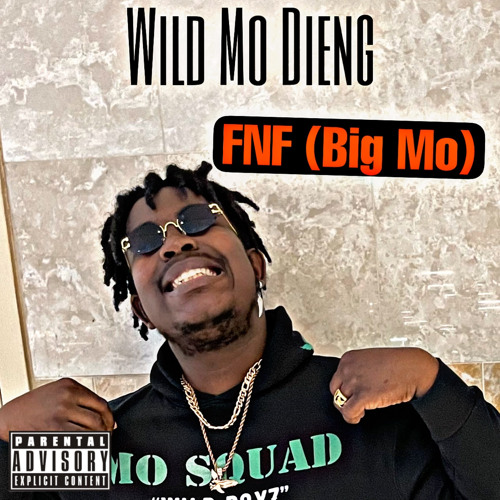 Stream FNF Mo Mix (Big Mo!!!) by Wild Mo Dieng | Listen online for free ...