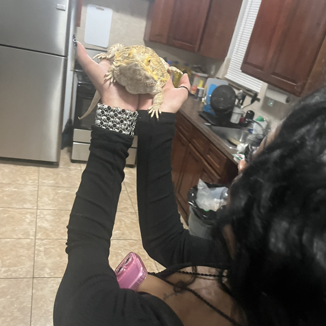 Stream boolymon - up 1 (prod. brigwapo) by slimepointe | Listen online ...