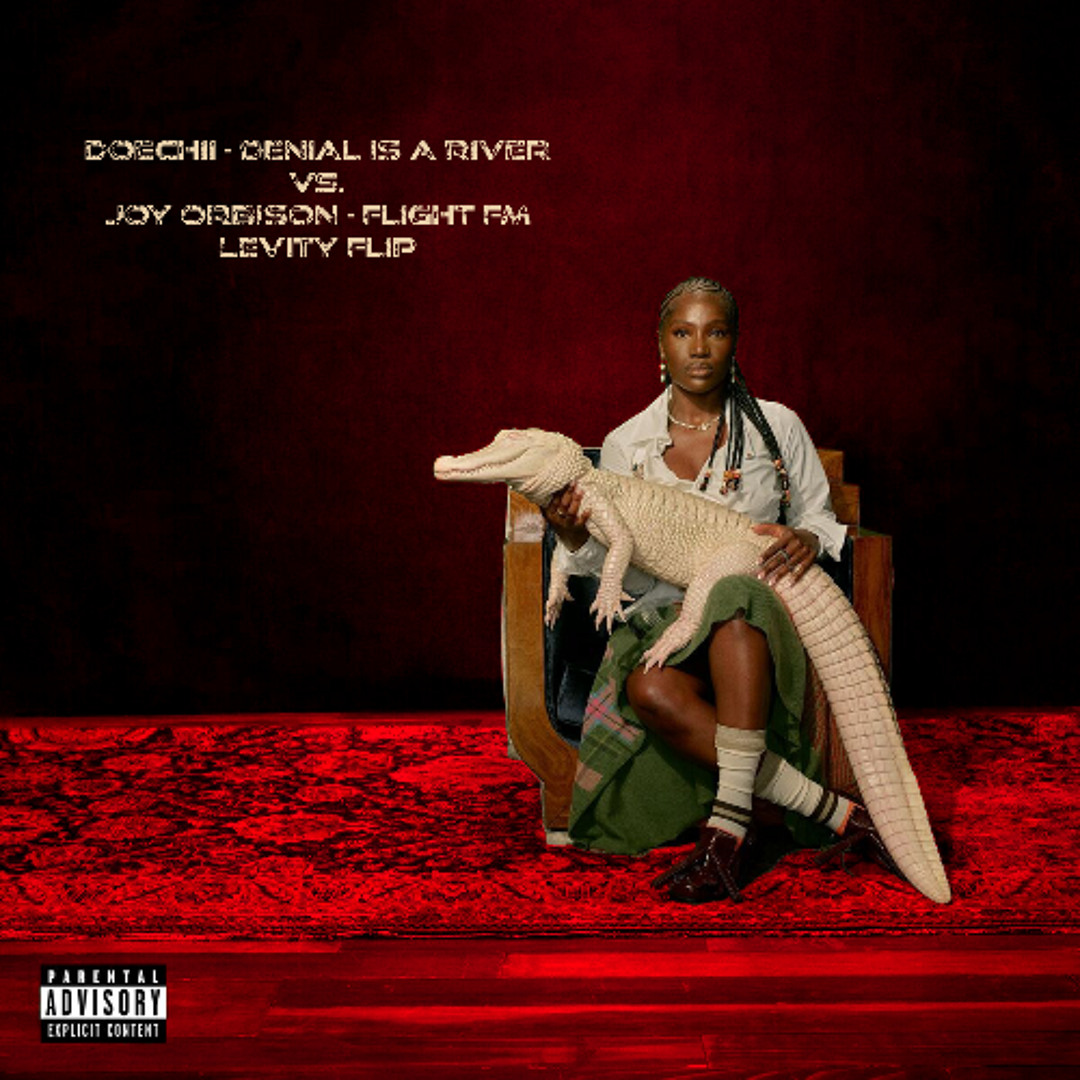 Stream Denial is a River vs. Flight Fm (Levity Flip) by Levity | Listen ...